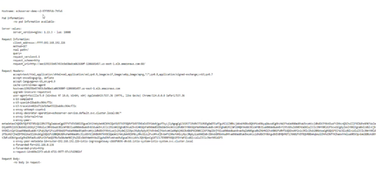 How to use Istio Ingress Gateway as Application Load Balancer