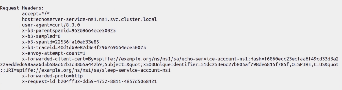 How to Integrate Istio and SPIRE for Secure Workload Identity